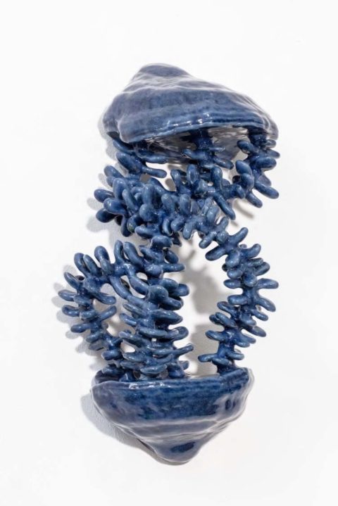 Jan Steenman ou la poésie du mycorhize - Art Genève 2026